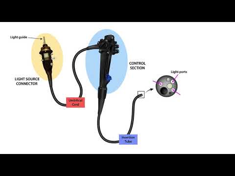 Endoscope Technology Theory-Lesson 3-Endoscope Parts