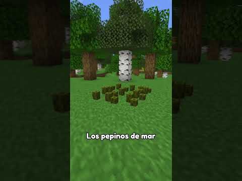 Hacks de construcción para Minecraft! ⛏️