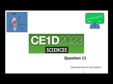 CE1D 2023 Sciences - question 11