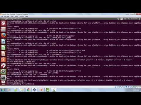 Different HDFS Commands Execution