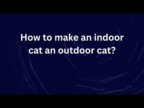 How to make an indoor cat an outdoor cat?