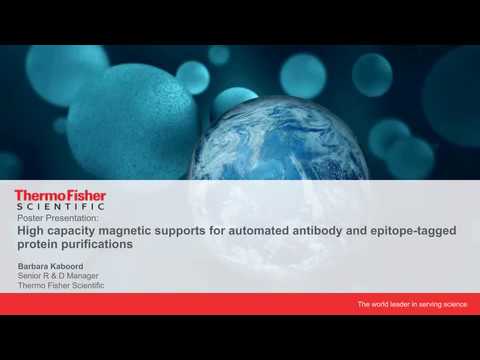 High capacity magnetic supports for automated antibody and epitope-tagged protein purification