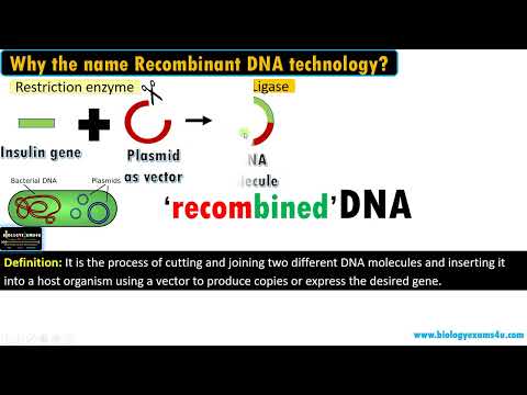 What is Recombinant DNA Technology? or rDNA technology a simple Definition