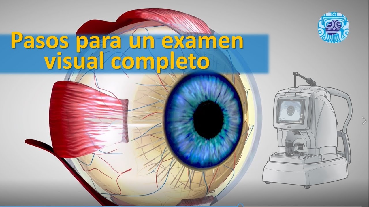What should a vision exam be like?