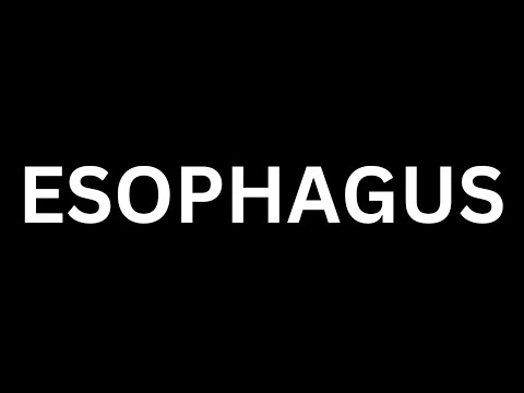 How to Pronounce "Esophagus" in English Language? [how to say Esophagus]#Esophagus
