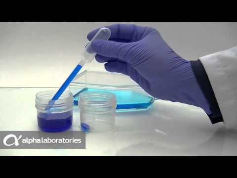 Pasteur Pipette and Transfer Pipette | Disposable Plastic Pastette