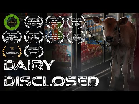 Dairy Disclosed | Mini Documentary