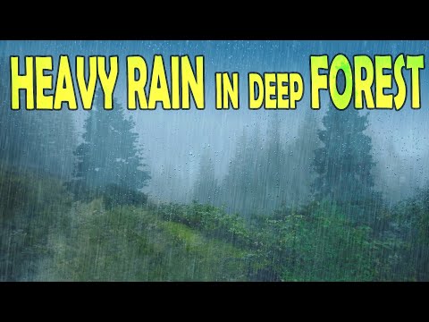 π§ Heavy Rain & Thunder in Deep Forest - Ambient Sleep & Meditation Sounds, @Ultizzz day#80
