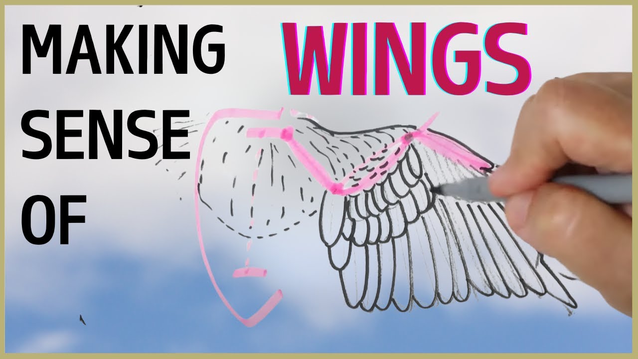 Draw and Paint BIRDS - Fastest way to Master WINGS