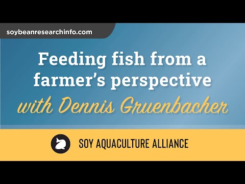 Feeding fish from a farmer's perspective with Dennis Gruenbacher