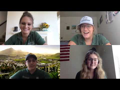 Q&A Series - College of Agriculture, Food and Environmental Sciences