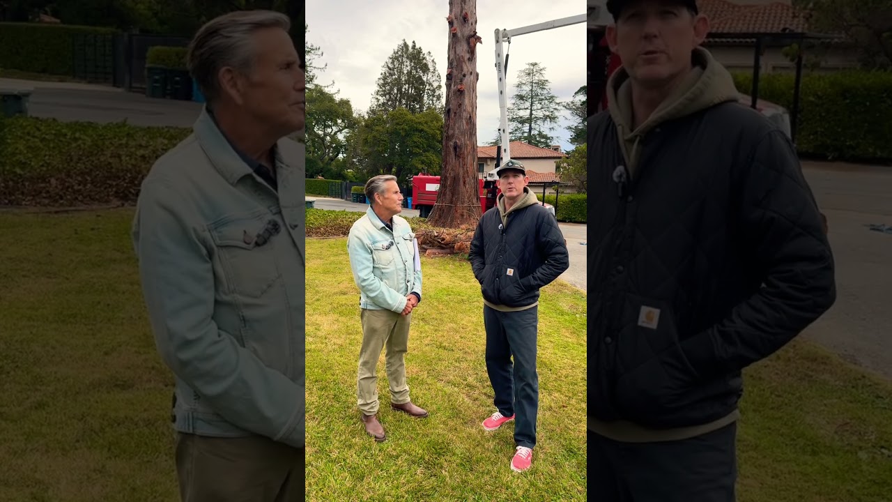 Milling Begins on Giant Sequoia! Clint & Keith’s Vision for Reclaimed Wood