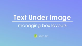 Box Layouts | Limecube