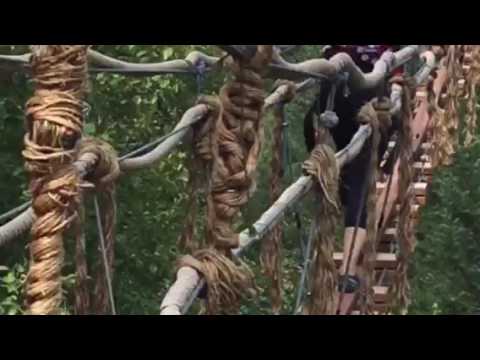 Zipline at ZiplineX.com