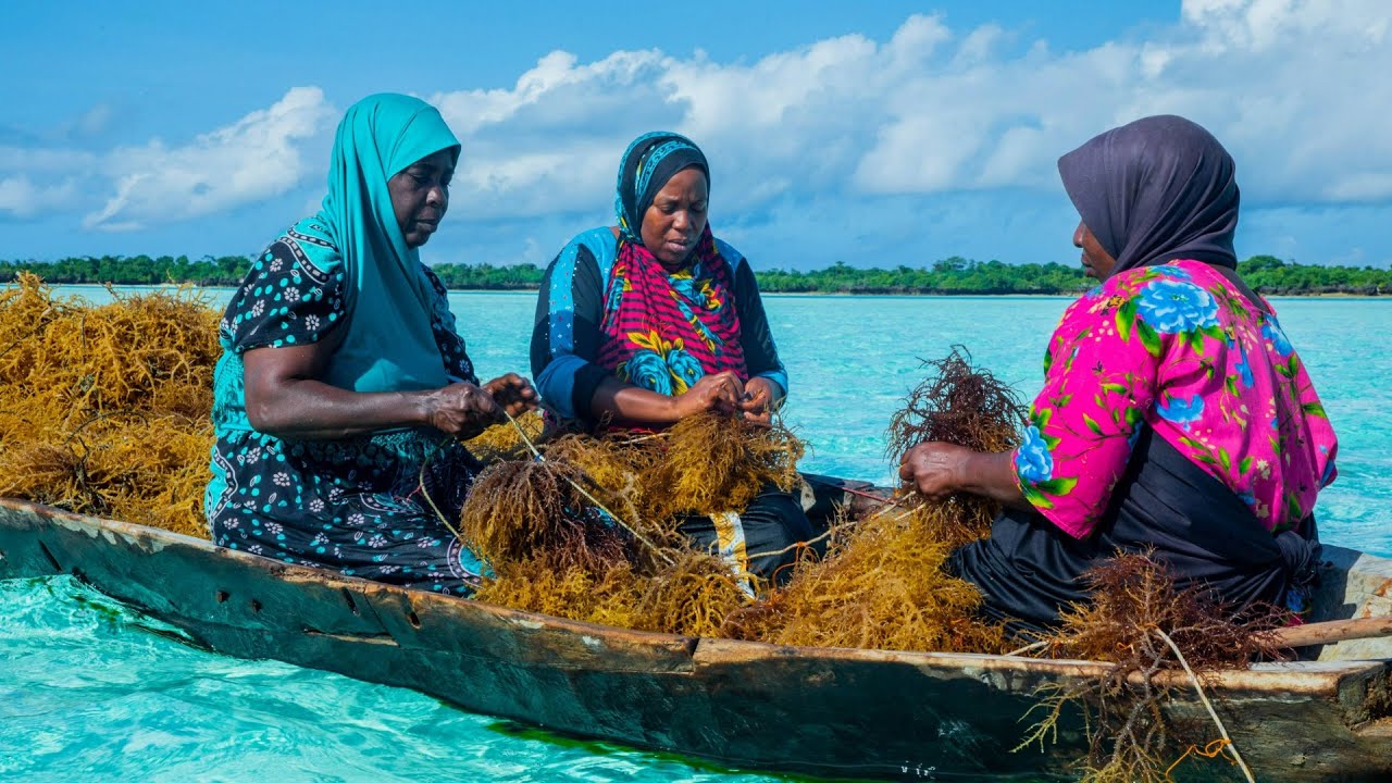 Irish Aid Annual Report 2024 Launch