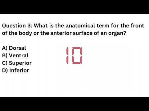 Anatomical Terminology Trivia Test Your Knowledge of the Human Body
