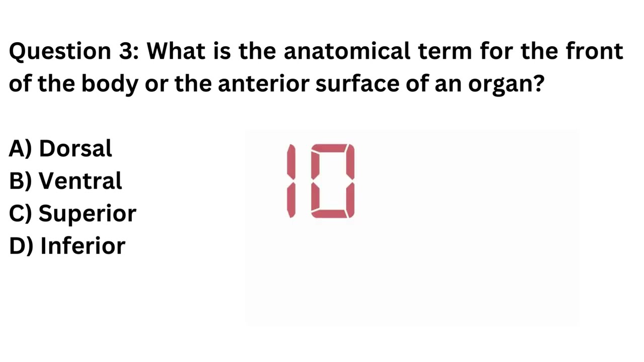 Anatomical Terminology Trivia Test Your Knowledge of the Human Body
