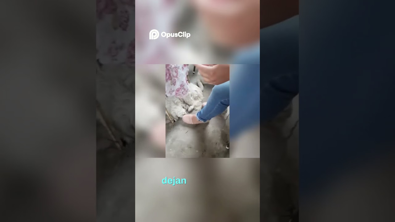 Tu Pie y Cuerpo: ¡Increíbles Proporciones Humanas! #shorts