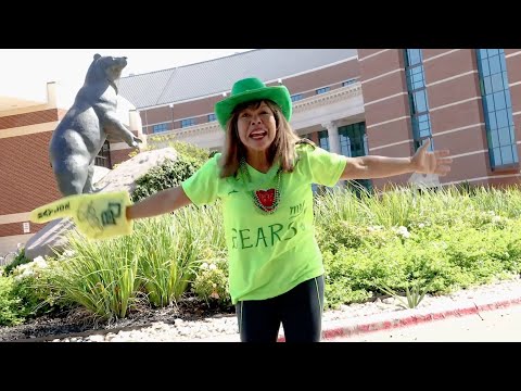 Baylor Bears are Moving In