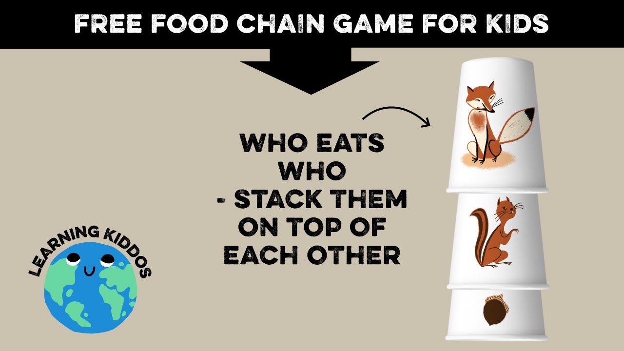 Food Chain project easy - with a free printable