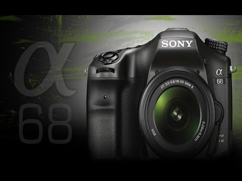 Sony A68 DSLR Review | An Excellent Upgrade For Amateur Photographers