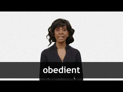OBEDIENT definition in American English | Collins English Dictionary