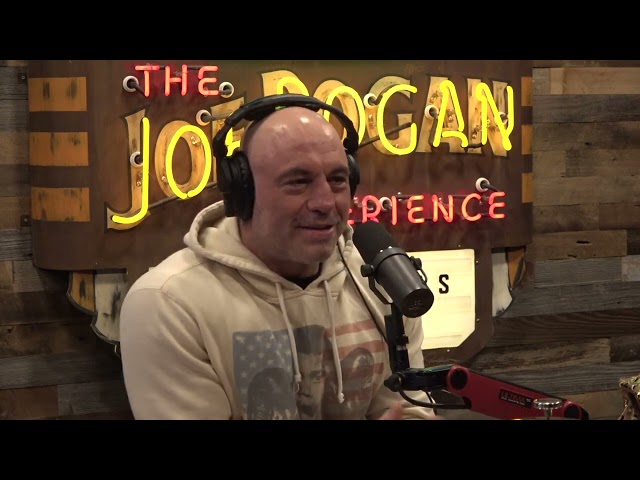 Dana White makes big announcement as former ONE star Mikey Musumeci ...