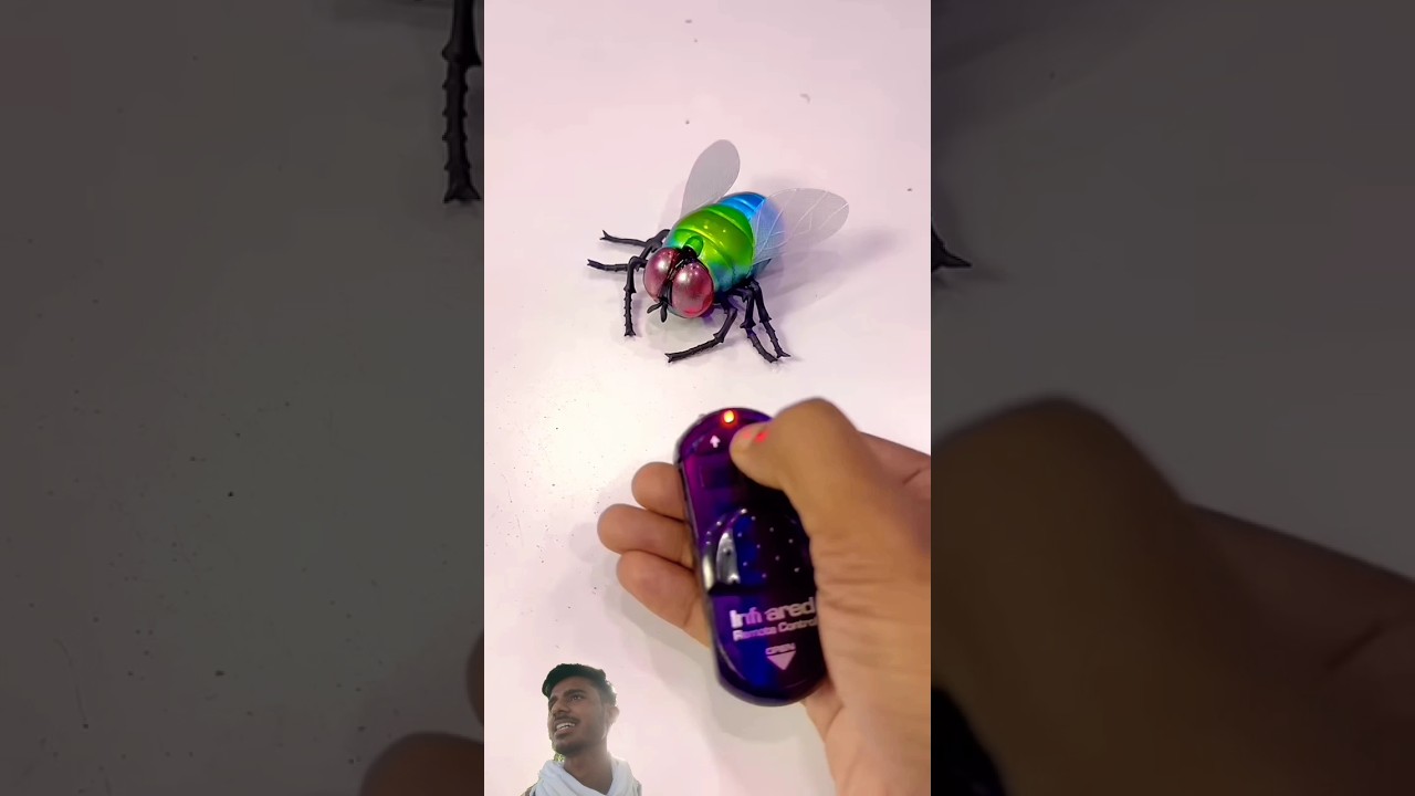 BRAWL ATHLETIX Infrared Remote Control Simulation Housefly #rcanimal #satisfying #shorts #unboxing