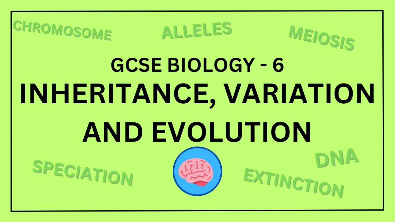 AQA GCSE Biology in 10 Minutes! | Topic 6 - Inheritance, Variation and Evolution