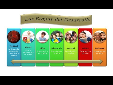 smartart combinada hecho en word paso a paso