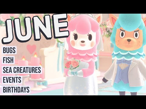 Animal Crossing New Horizons Guide to JUNE! Bugs, Fish, Events and More! (Northern Hemisphere)