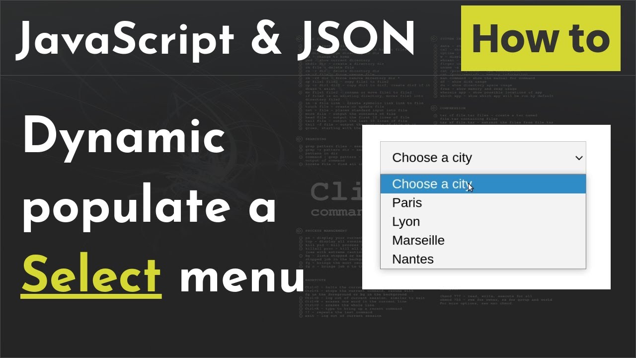 Dynamic Drop Down Select Menus with JavaScript and JSON 🌟
