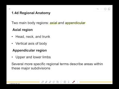 4 Directional Terms in Anatomy