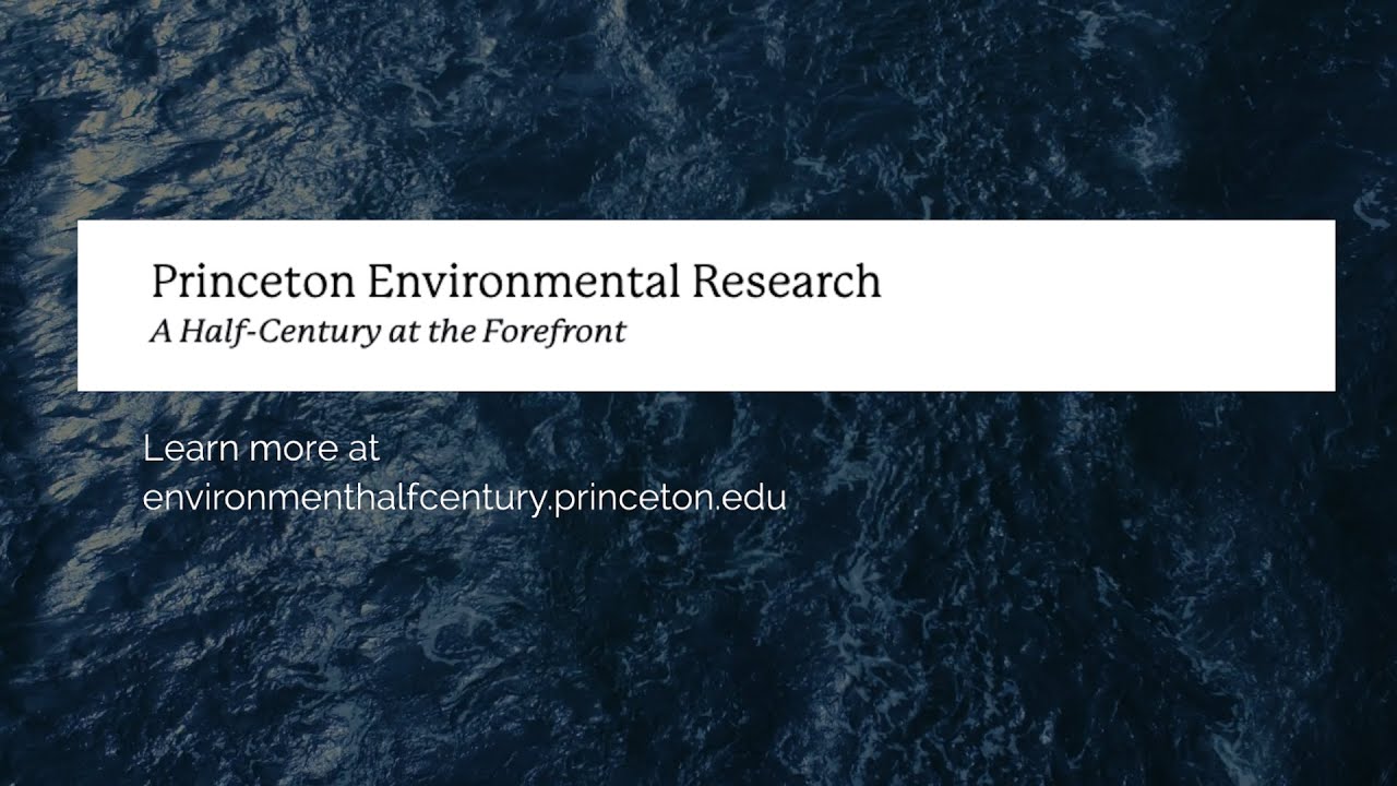 Environment Half Century teaser (wide)