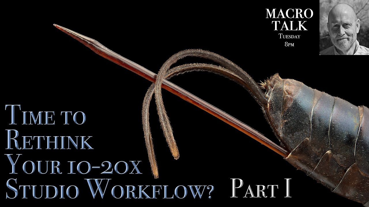 The 10-20x macro workflow - part I - Macro Talk #173 -  AWPhotography 12/30/25
