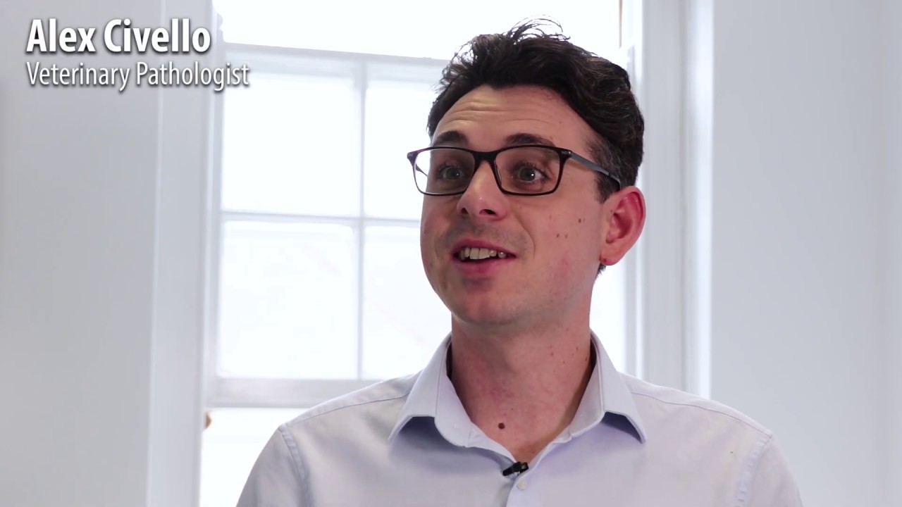 Interview with a Veterinary Pathologist