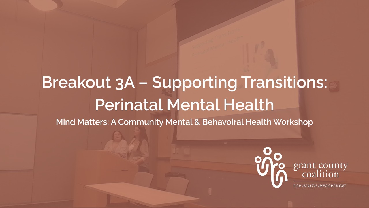Breakout 3A Supporting Transitions: Perinatal Mental Health | 3.26 Mind Matters Workshop