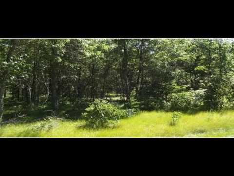 Lot 9 Acorn Ct Shawano WI 54166