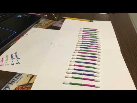 Easy DNA model