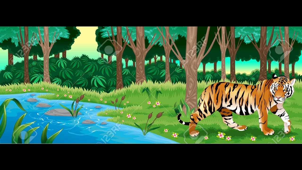 EL TIGRE ANTE EL CONFLICTO - Cuentos infantiles con valores - Cuentos cortos