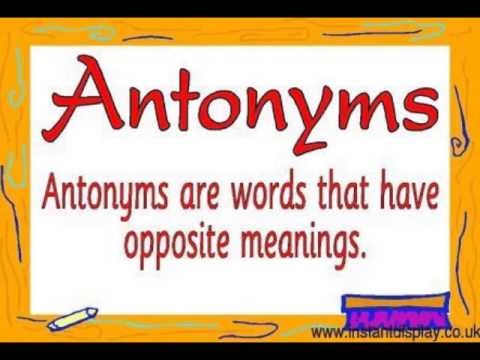 Synonyms and Antonyms.