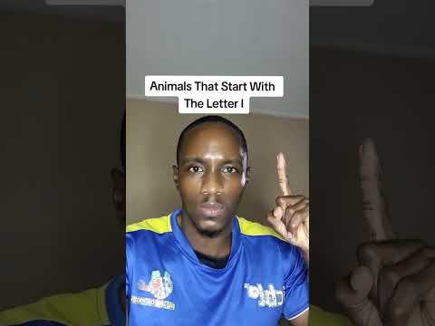 Animals That Start With The Letter I😯 #animals #interesting #viral #shorts #xyzbca