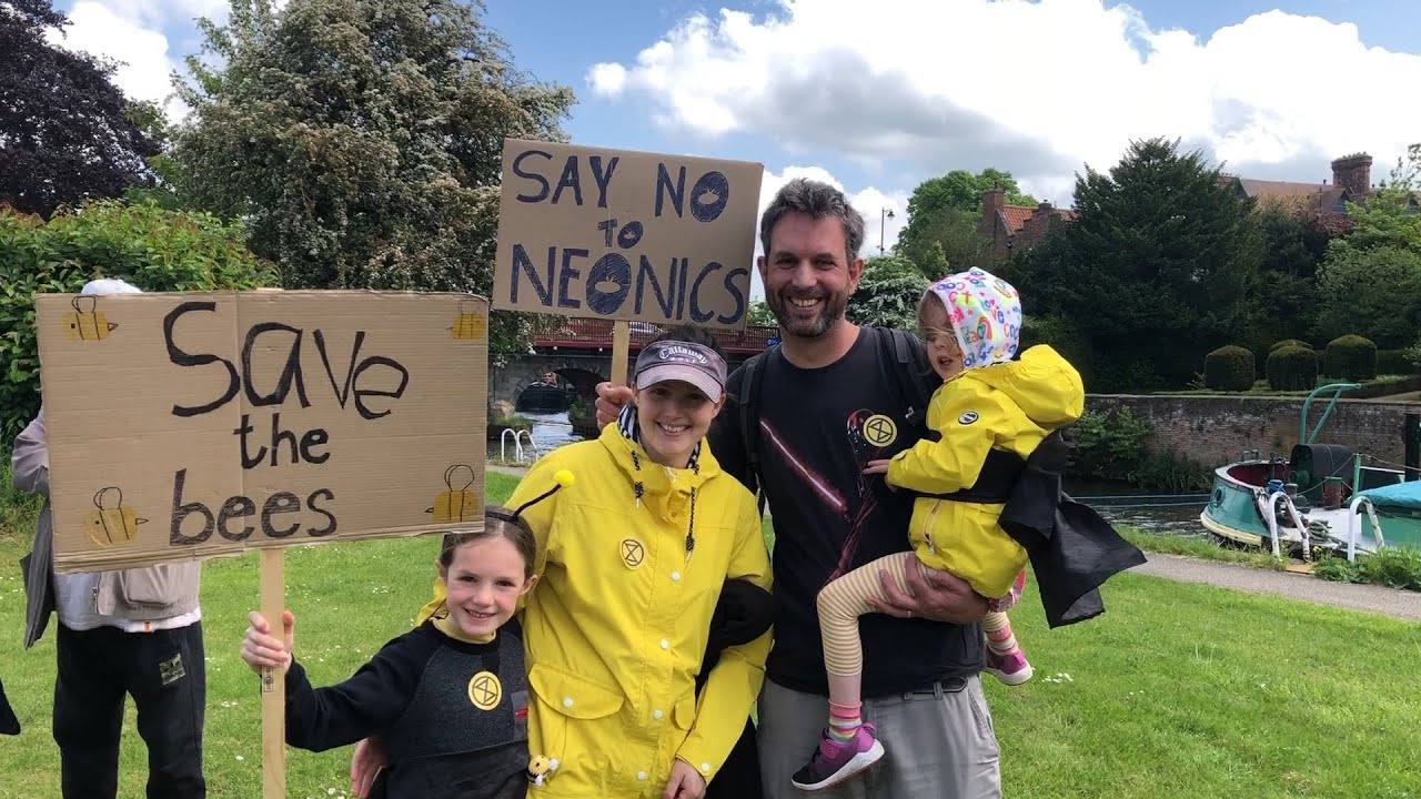 Save the Bees - No to Neonics