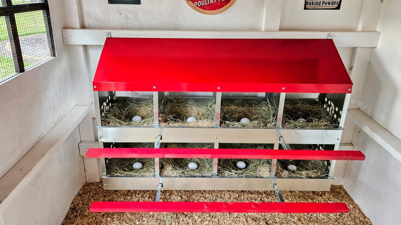 Setting Up Chicken Nest Boxes for Laying! 🥚