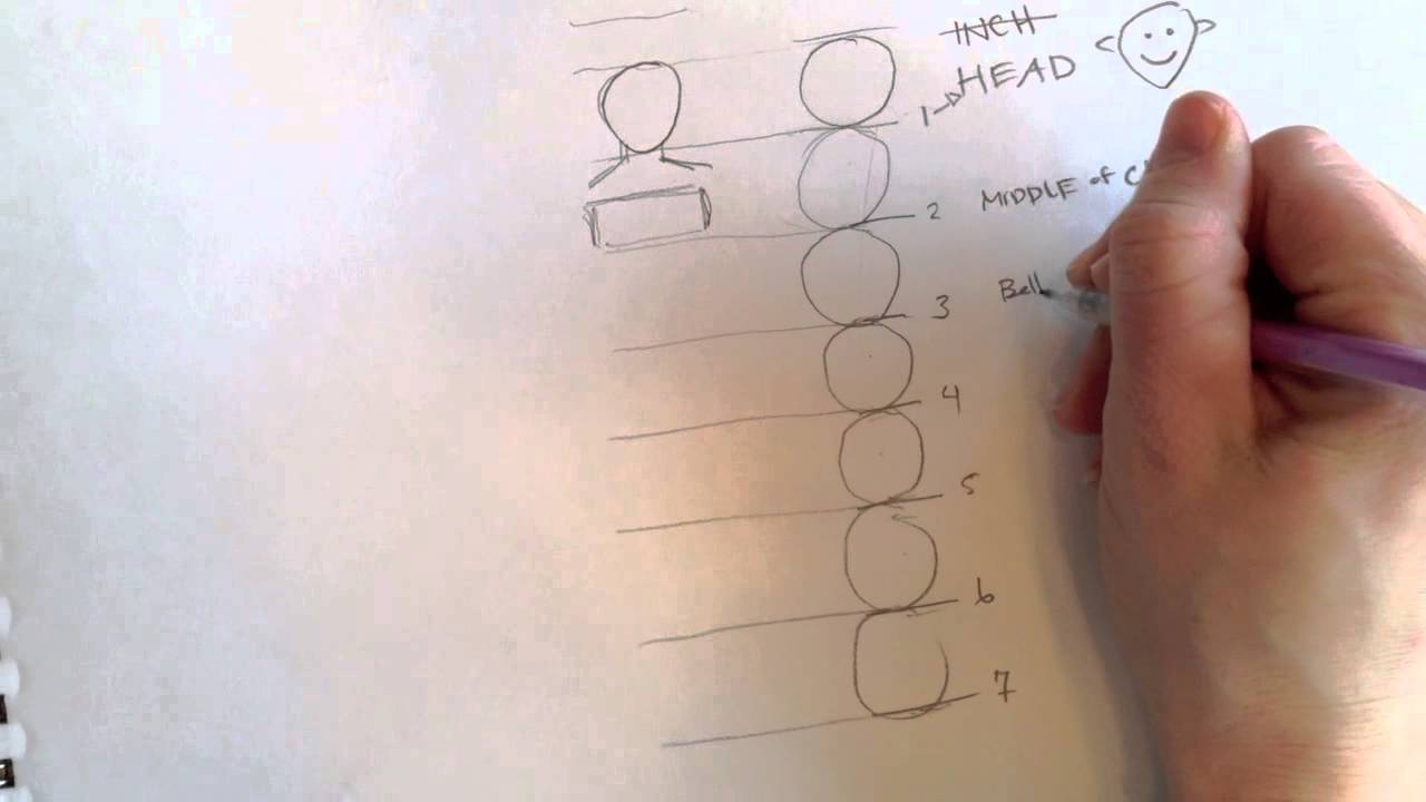 Figure proportions - DRAWING ESSENTIALS