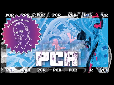 PCR | The Polymerase Chain Reaction Steps for A Level Biology