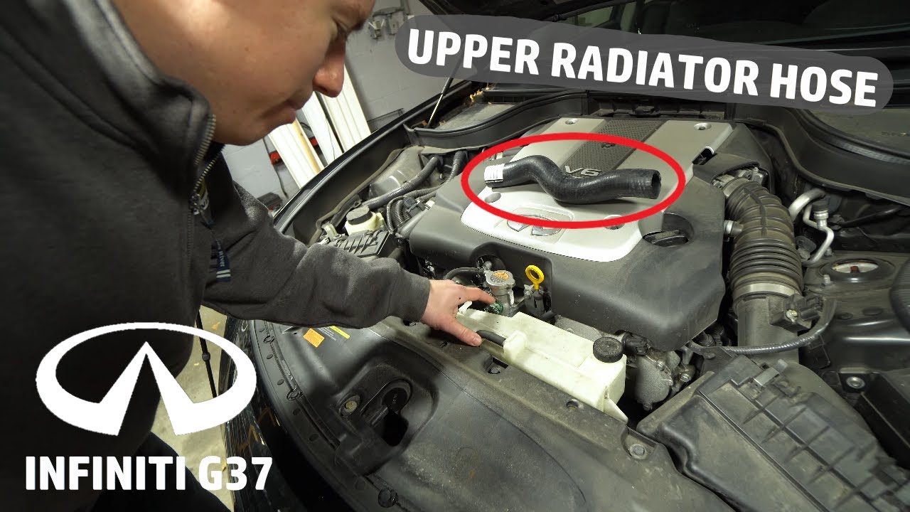 Upper Radiator Hose Infiniti G37 Replacement
