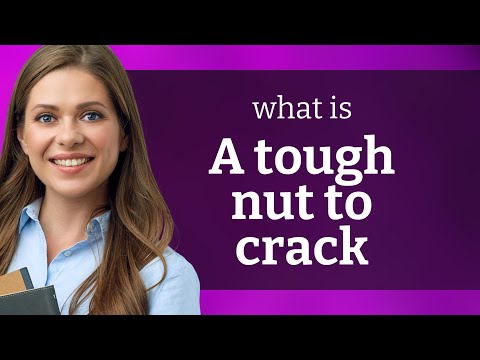 Cracking the Meaning: "A Tough Nut to Crack"
