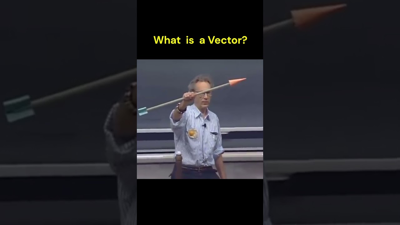 What is a vector?