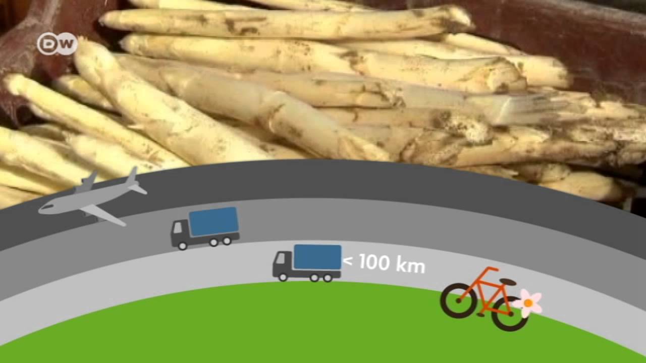 How harmful to the climate is transporting food by air? | Global 3000